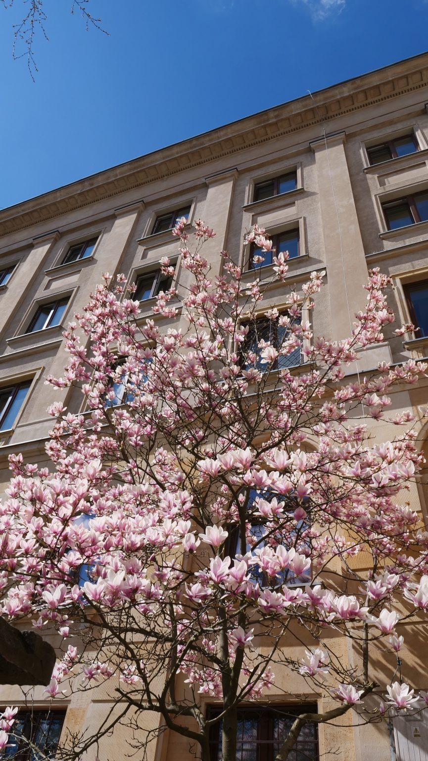 Kalendarium 2025 roku w Uniwersytecie Jana Kochanowskiego – Uniwersytet ...